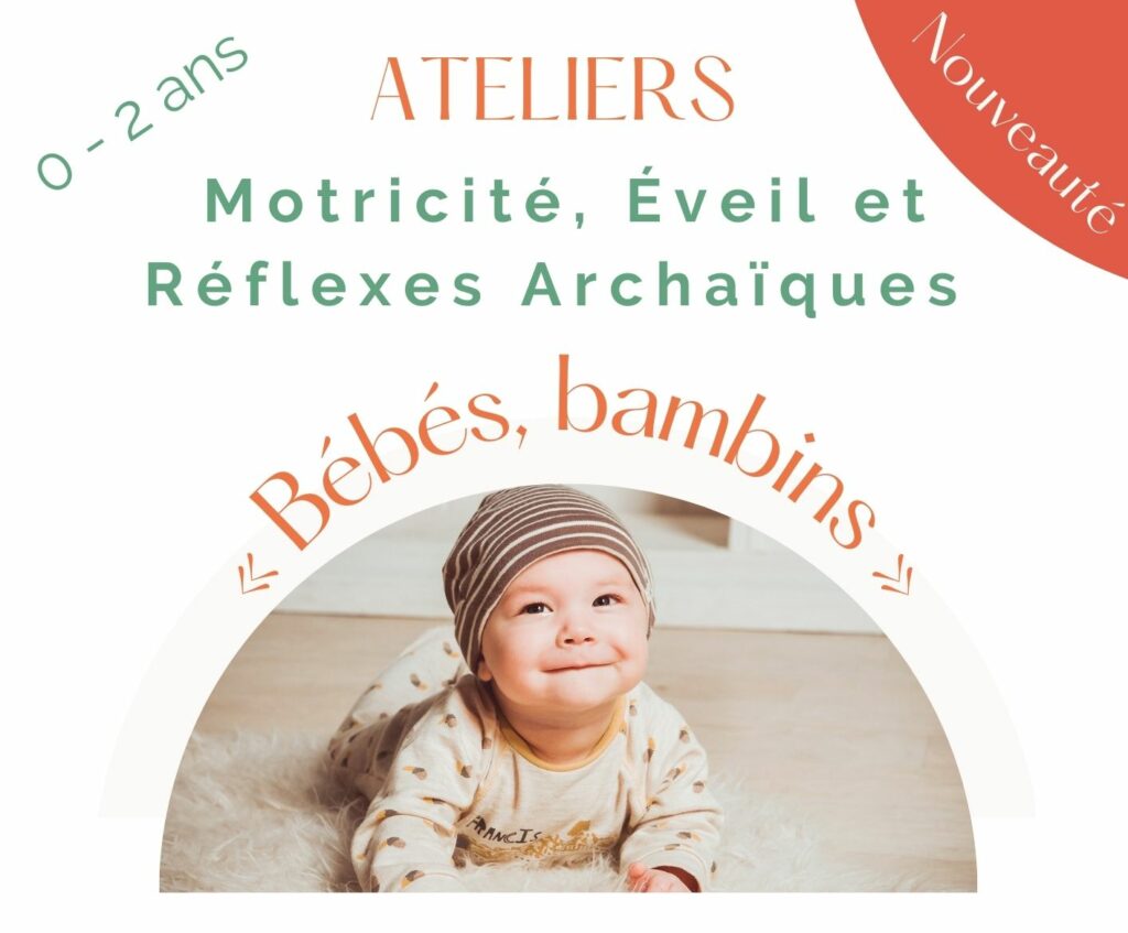 Cours d'introduction Cours d'introduction